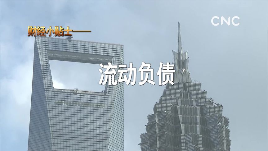 财经小贴士——流动负债