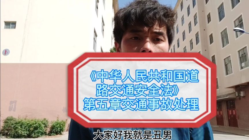 《中华人民共和国道路交通安全法》交通事故处理