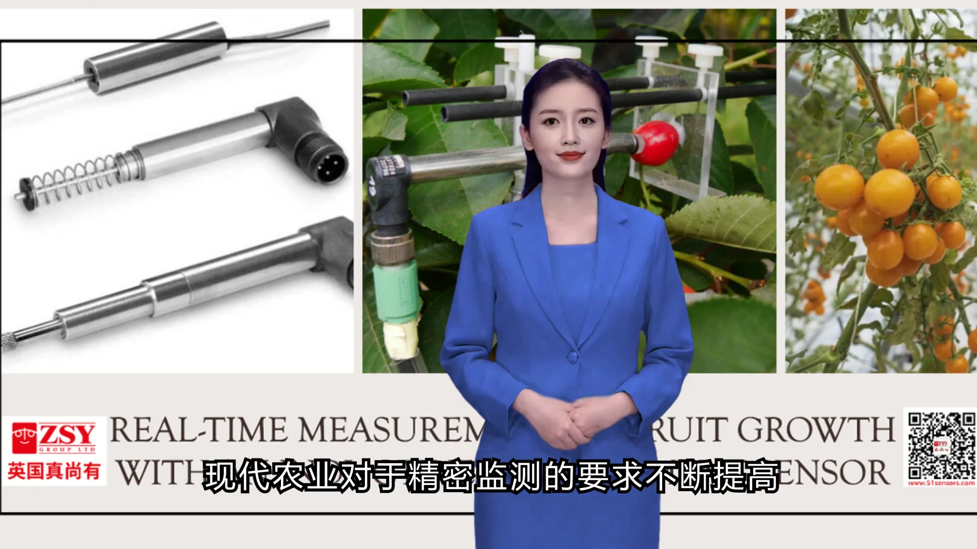 电感式位移传感器实时测量水果生长,就找英国真尚有!