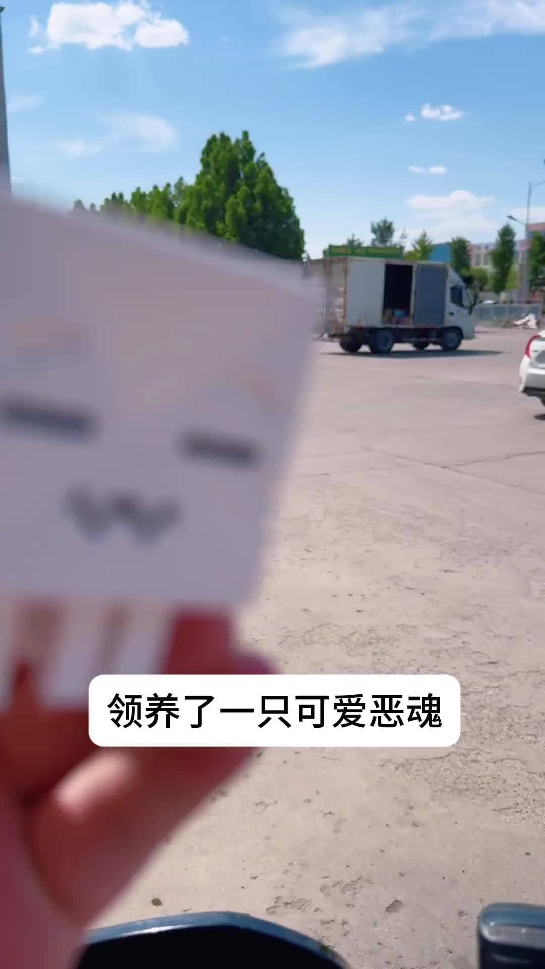 我的世界恶魂模型手办