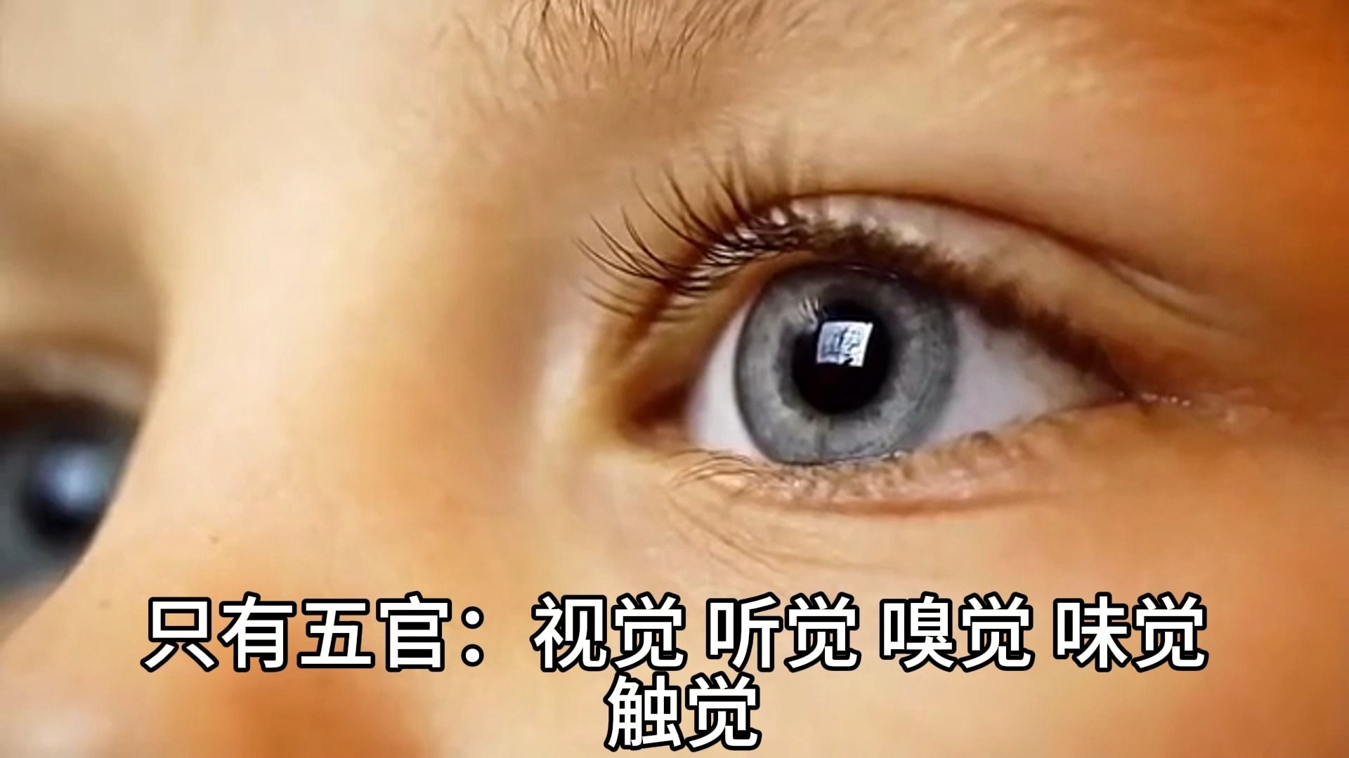 人类看到的世界是真实的世界吗?