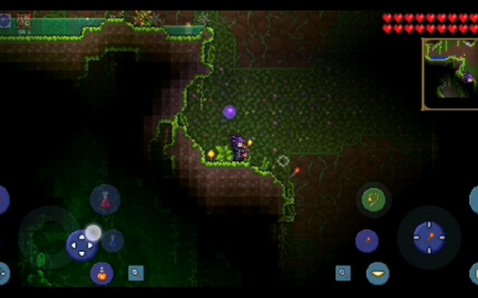 泰拉瑞亚pe1.3专家p8 探索丛林