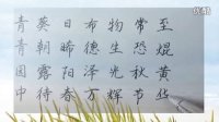 钢笔书法 《长歌行》配赏析