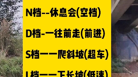 自动挡汽车档位教学#汽车知识 #自动挡汽车#汽车档位