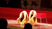 吴桥杂技 柔术