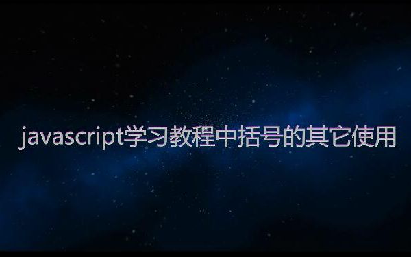 javascript学习教程中括号的其它使用