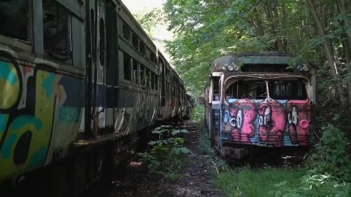 探索无轨电车墓地,藏在森林深处,全部都是40年代的
