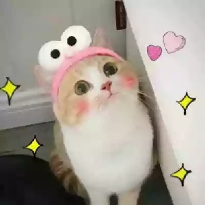 Monica每天都在变美 