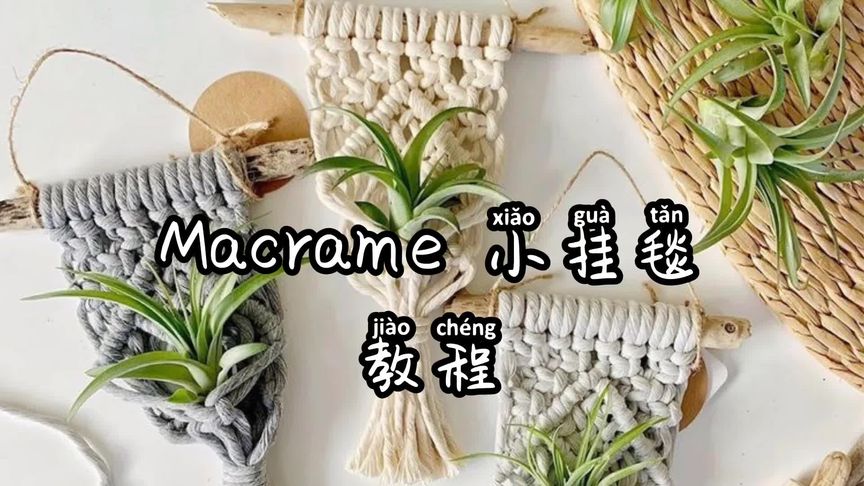 可以用来放干花和绿植(空气凤梨)的小挂毯#创意手工 #编织教程