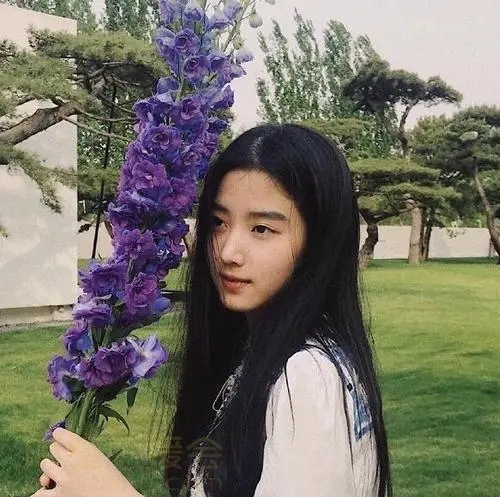 南邮布丁学姐 