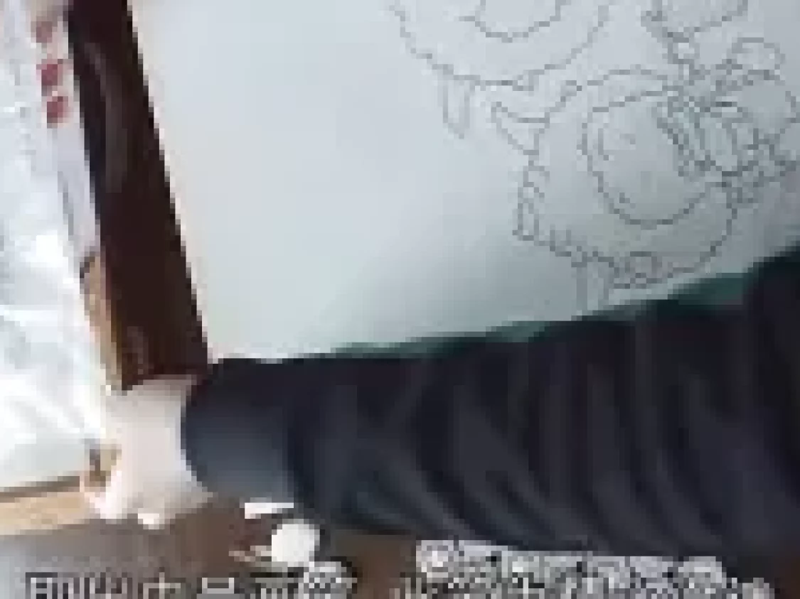 数字油画,全套教学视频
