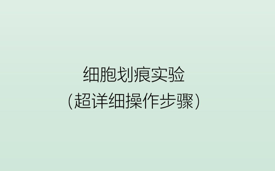 【细胞划痕实验】超详细手把手教!Wound healing!