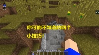 我的世界: 如何寻找废弃矿井? 这四个小技巧你值得拥有