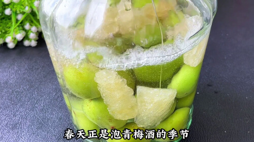 爱美的女人要泡这个青梅酒,详细做法比例告诉你,常喝好处多多