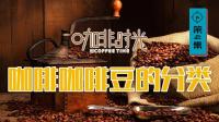 咖啡时光第4集咖啡的组成和分类