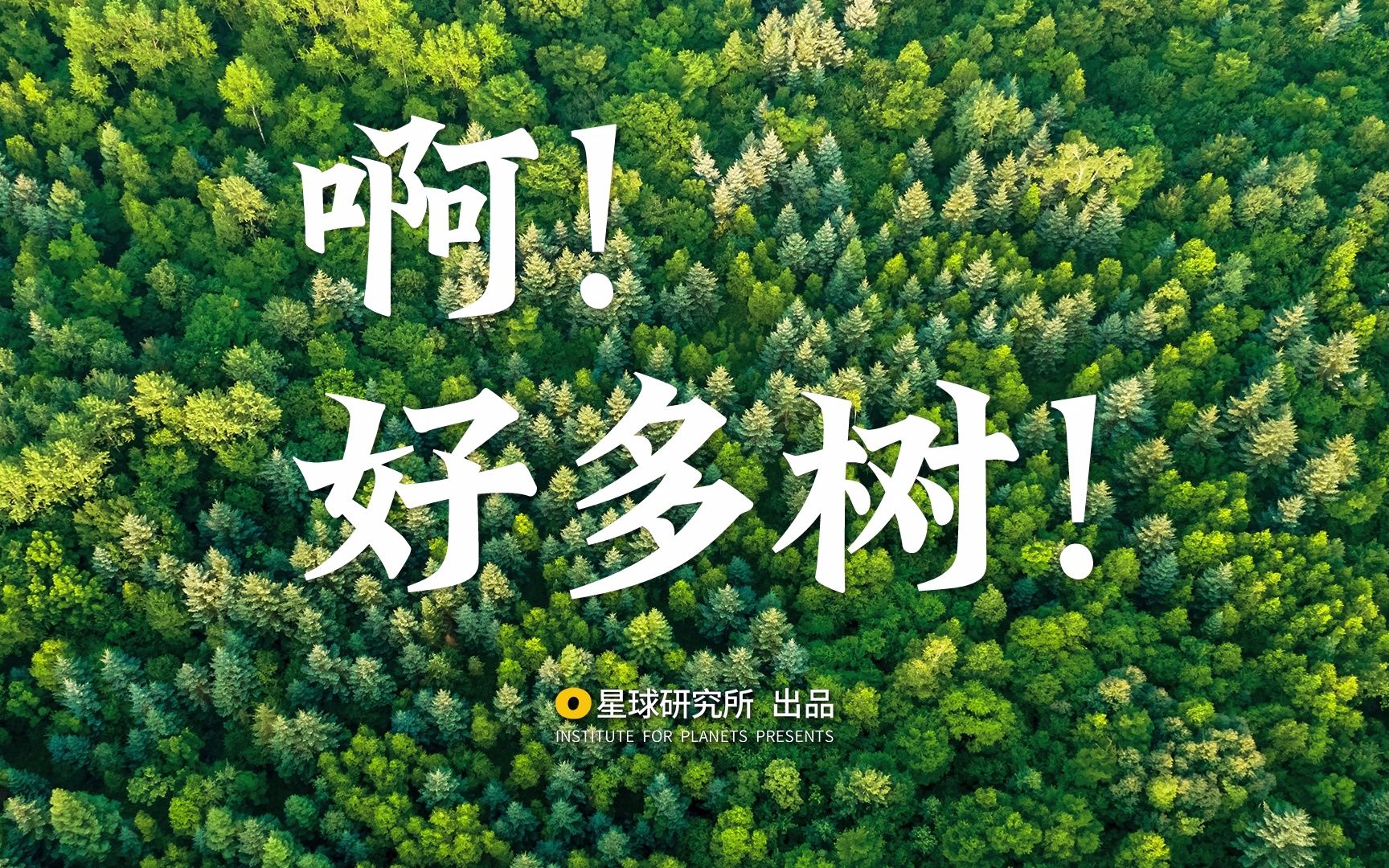 植树造林40年,我们做了什么?