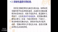 神经递质的类型和作用机理