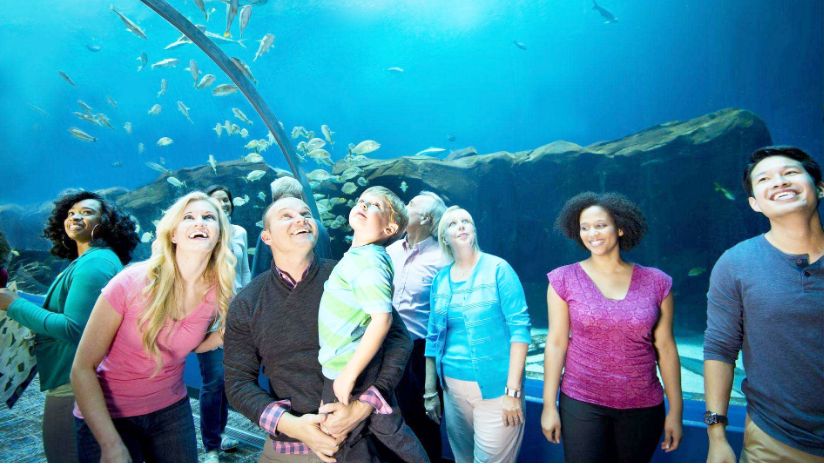 陆地上最大的“海洋世界”,安检比机场麻烦,养着全球最大鱼类!