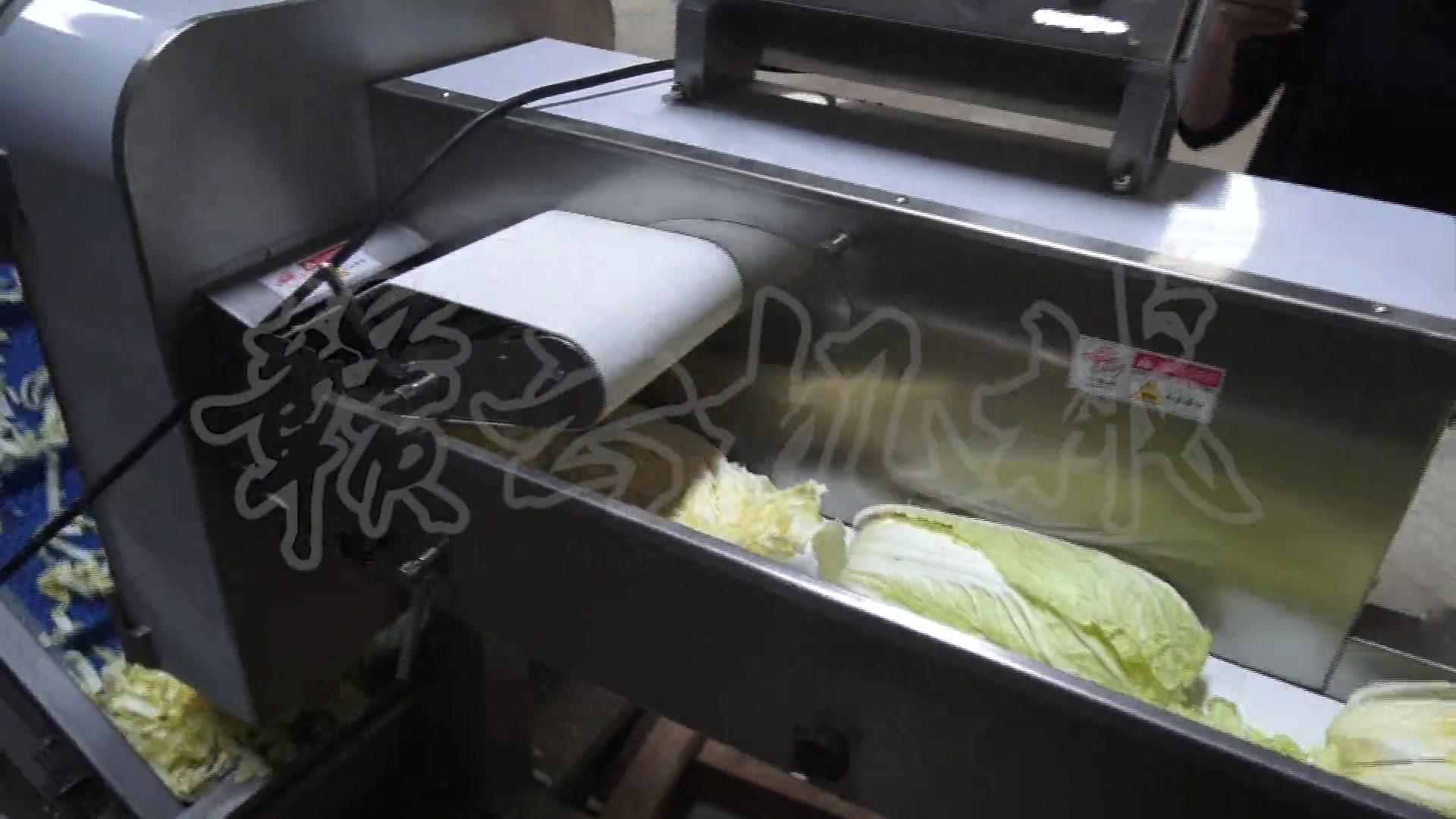 ...的蔬菜是怎么加工的视频 清洗青菜的过程 中央厨房蔬菜加工车间设备