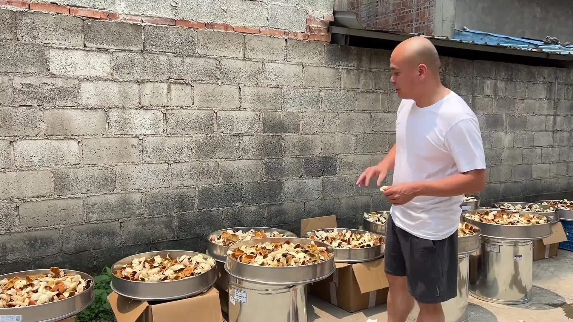 为什么我们家的五仁月饼会有特别的香味?因为有它,陈化陈皮#美食 #...