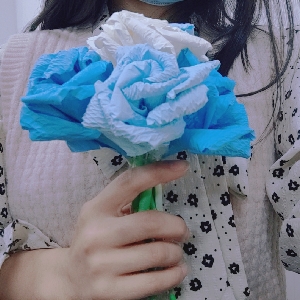 灵玖小可爱 
