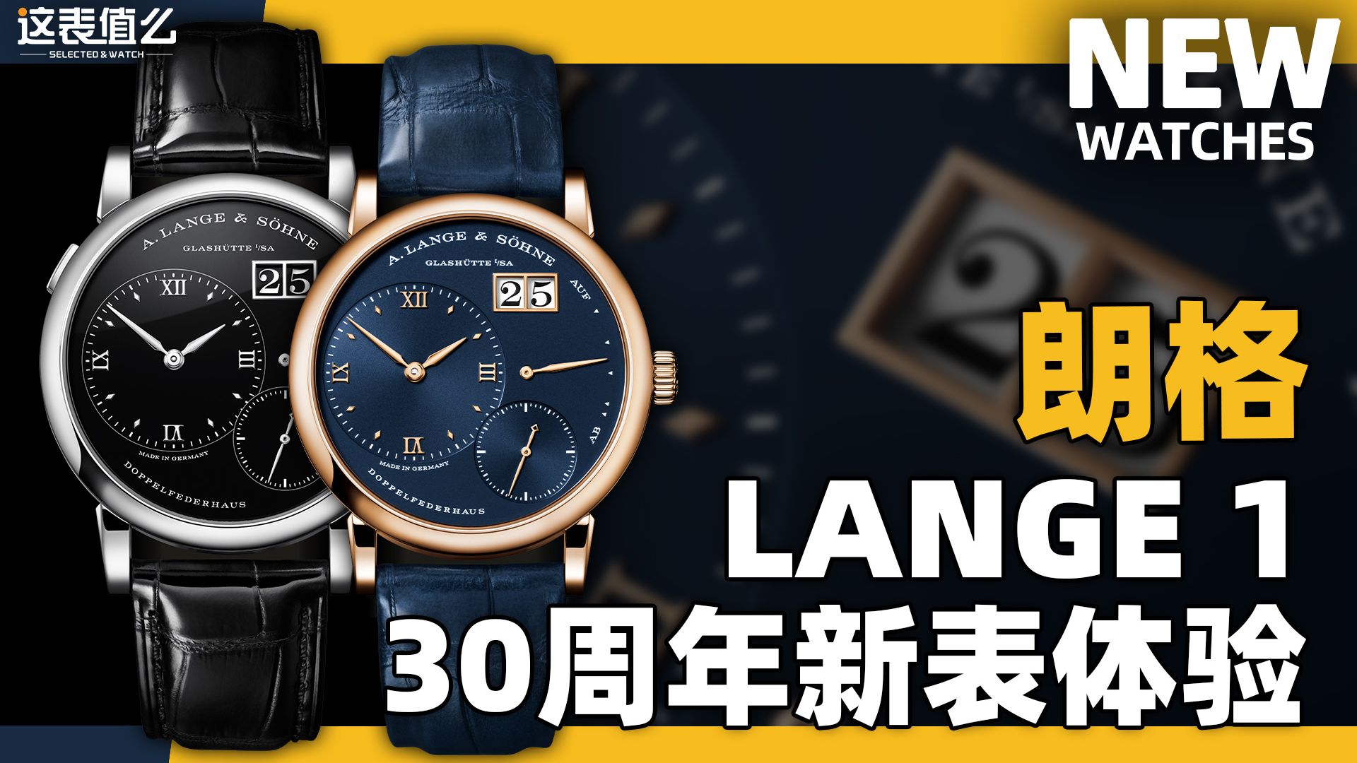【VLOG】发布当天黑盘就售罄?朗格1三十周年限量腕表实物体验!