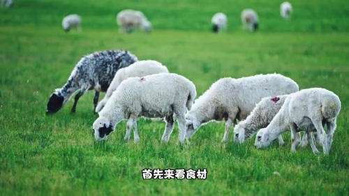 羊肉馆宣传文案