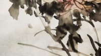 《卢青说画,自说自画》水墨画花,这次有颜色(中)