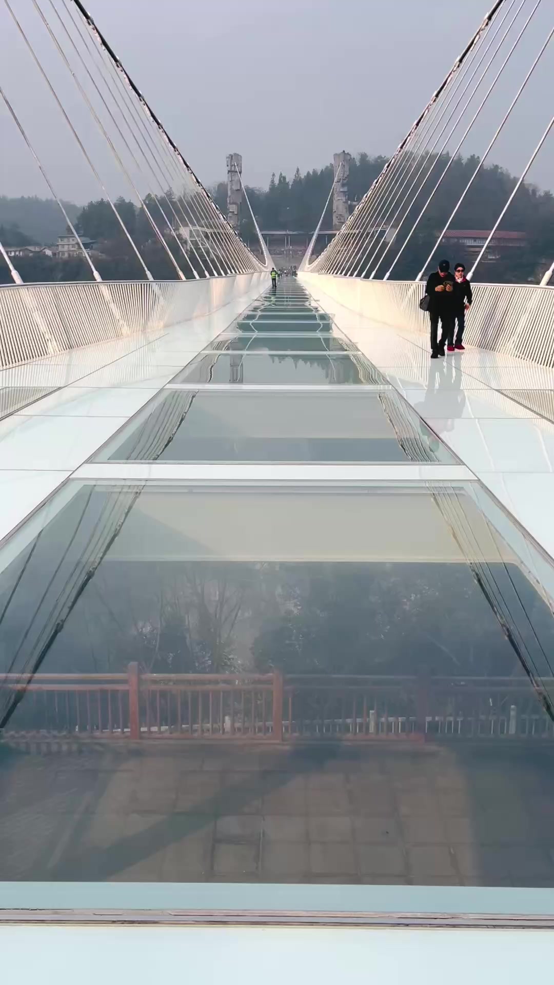 ...️湖南张家界大峽谷玻璃桥风景区ߩ�ߩ�ߩ�ߩ�ߩ� #玻璃栈道...