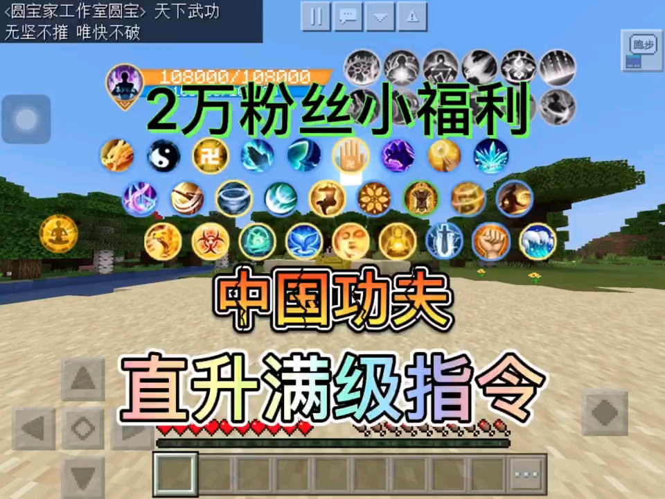 #中国功夫 满级指令 #圆宝家 #一家人做mc 我的世界