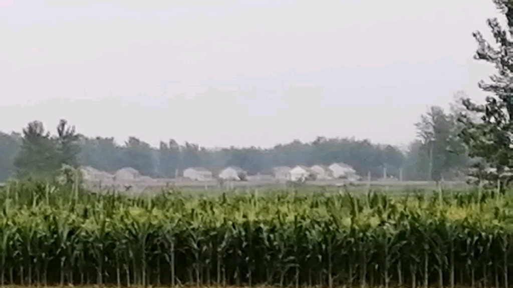 上学四年带自己回家的K248次列车