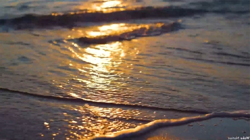 昨日的思想,带来今日的结果,今日的行动,决定明日的成就。