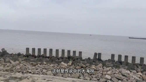 上海的海是什么样子的,小伙一分钟带你看大海,恰逢赶上涨潮