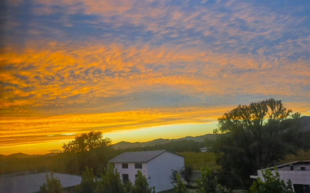 ...进行比对分析。涉及到的软件有SqMan、EditSeq、MegAlign的使用。