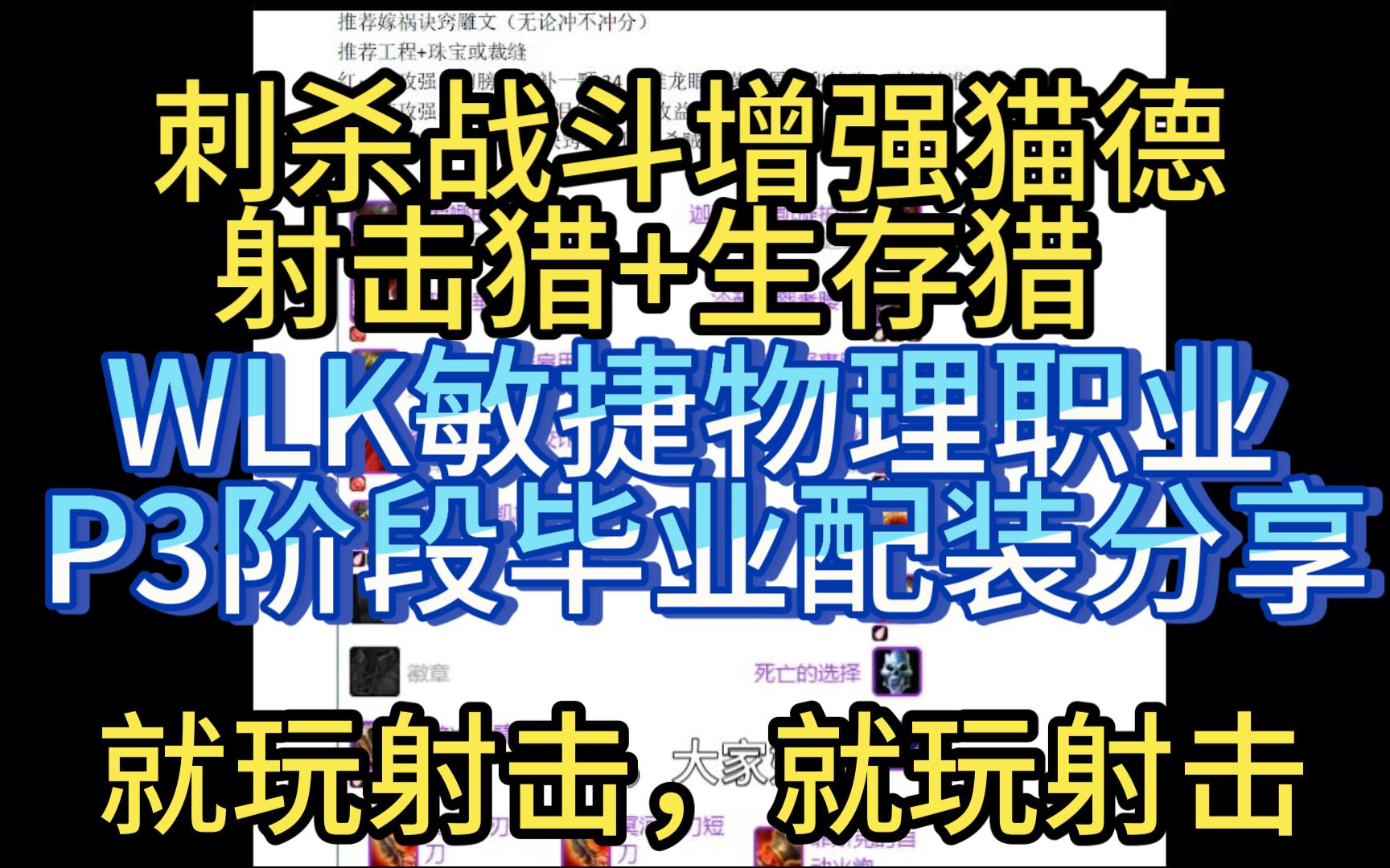 TOCP3毕业向敏捷DPS配装(战斗贼,刺杀贼,生存猎,射击猎,猫德,增强萨...
