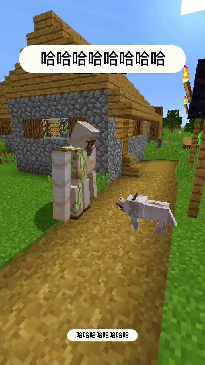 我的世界村庄的毁灭