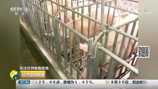 [经济信息联播]关注非洲猪瘟疫情 非洲猪瘟非人畜共患病 不影响食品安全