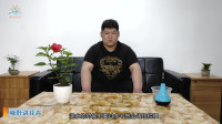 教你如何栽培管理木槿, 让你在家轻松养好木槿花