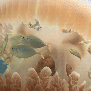 喜欢撸串儿的27284 