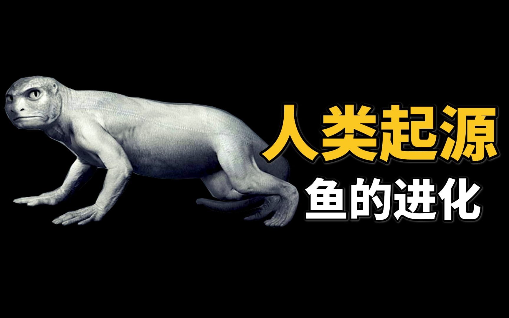 人类的祖先竟然是由鱼进化来的?