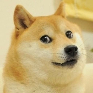 璠泽 