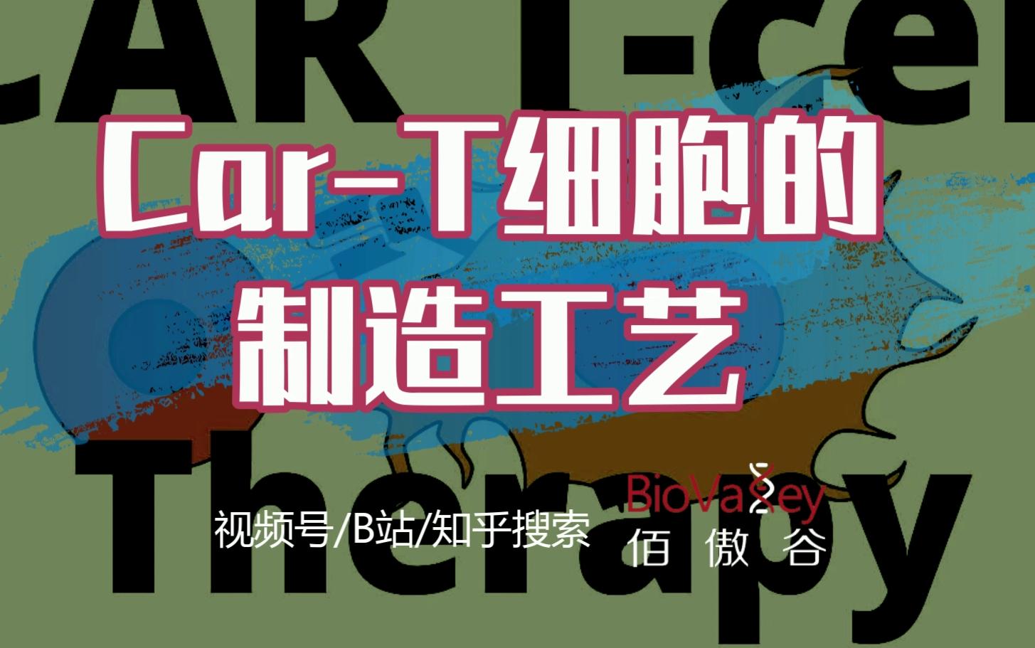 【科普】Car-T细胞的制作工艺
