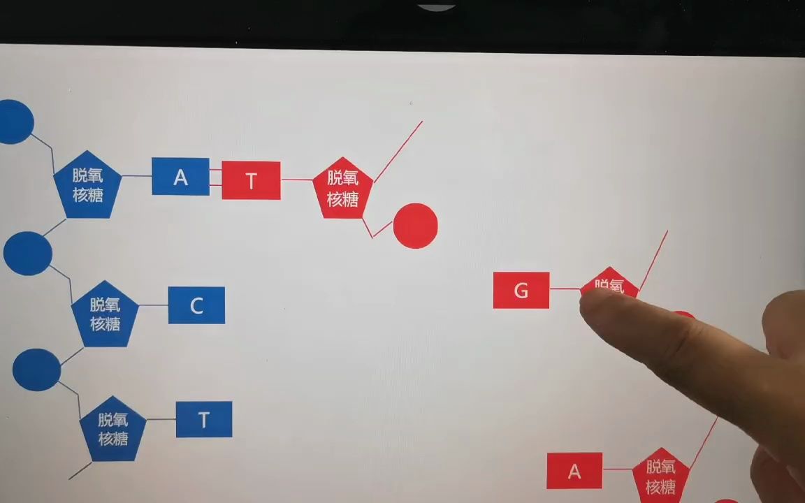 如何在PPT放映状态下移动