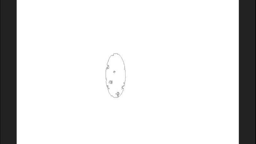 春风一吹 头发都在开心❤️#插画分享 #ps技能 #插画头像