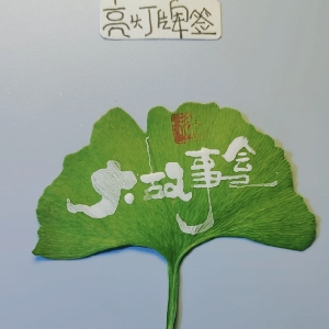 经典频道老歌播放 