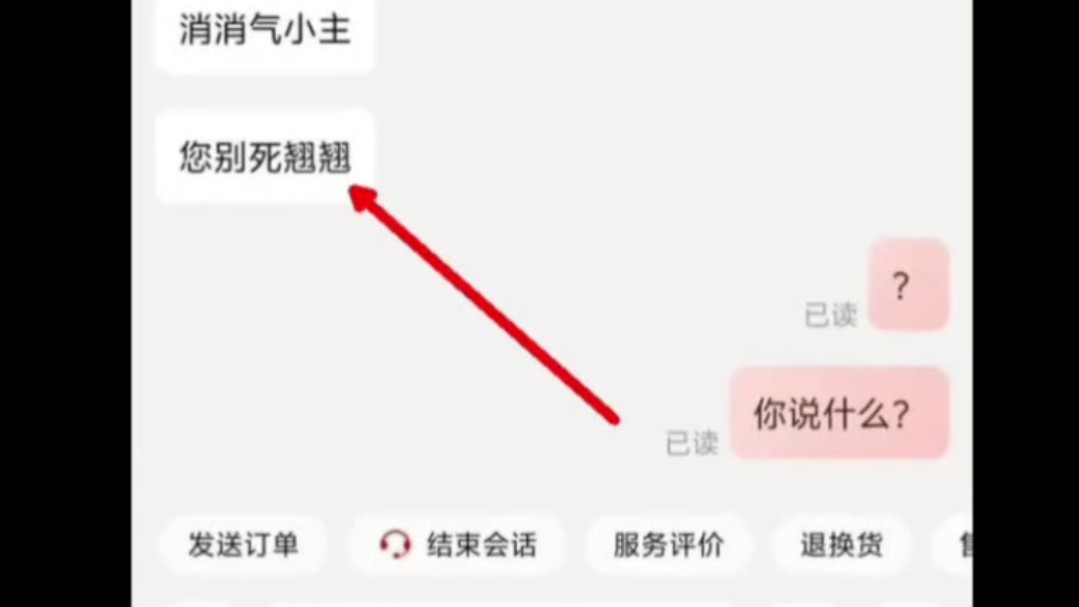 京东杨笠事件后客服不计入考核,有的客服辱骂客户后假装打错字,甚至...