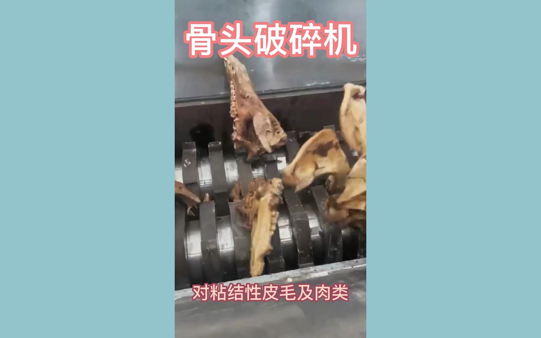 牛羊骨头粉碎机 骨头撕碎机 生活厨余垃圾撕碎机