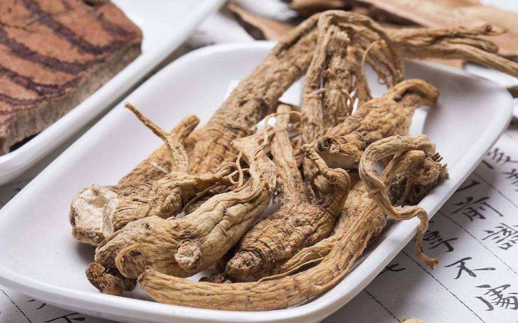 【百草故事】前山腿子后山王——当归