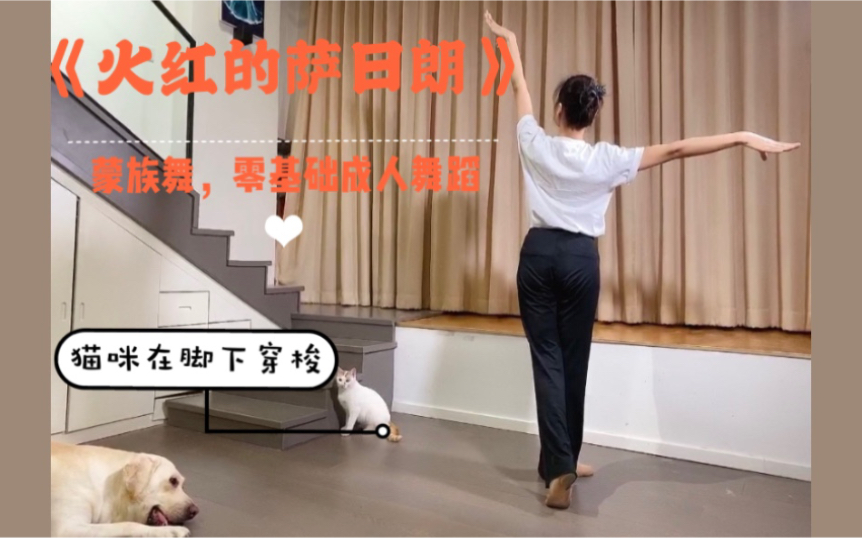 《火红的萨日朗》蒙古族舞蹈 成人舞蹈 简单易学 零基础舞蹈教学 人...
