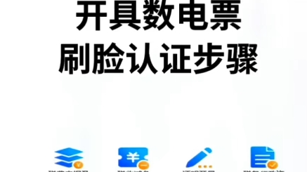 开具数电票刷脸认证步骤